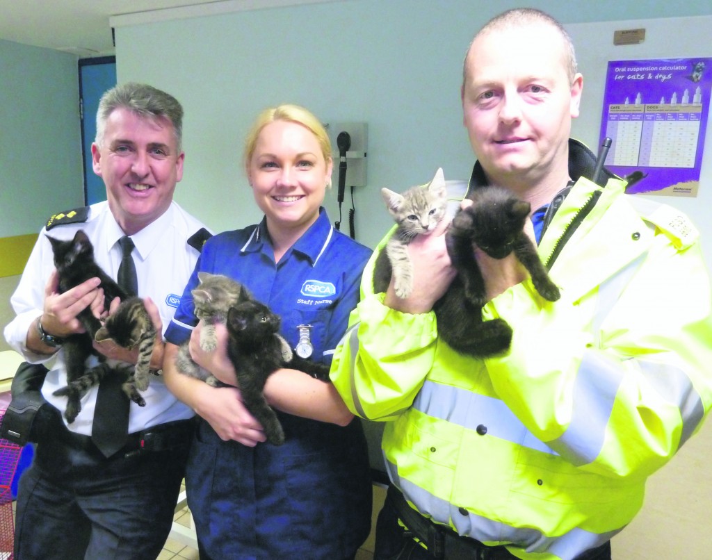 Pets dumping shame - Saddleworth Independent