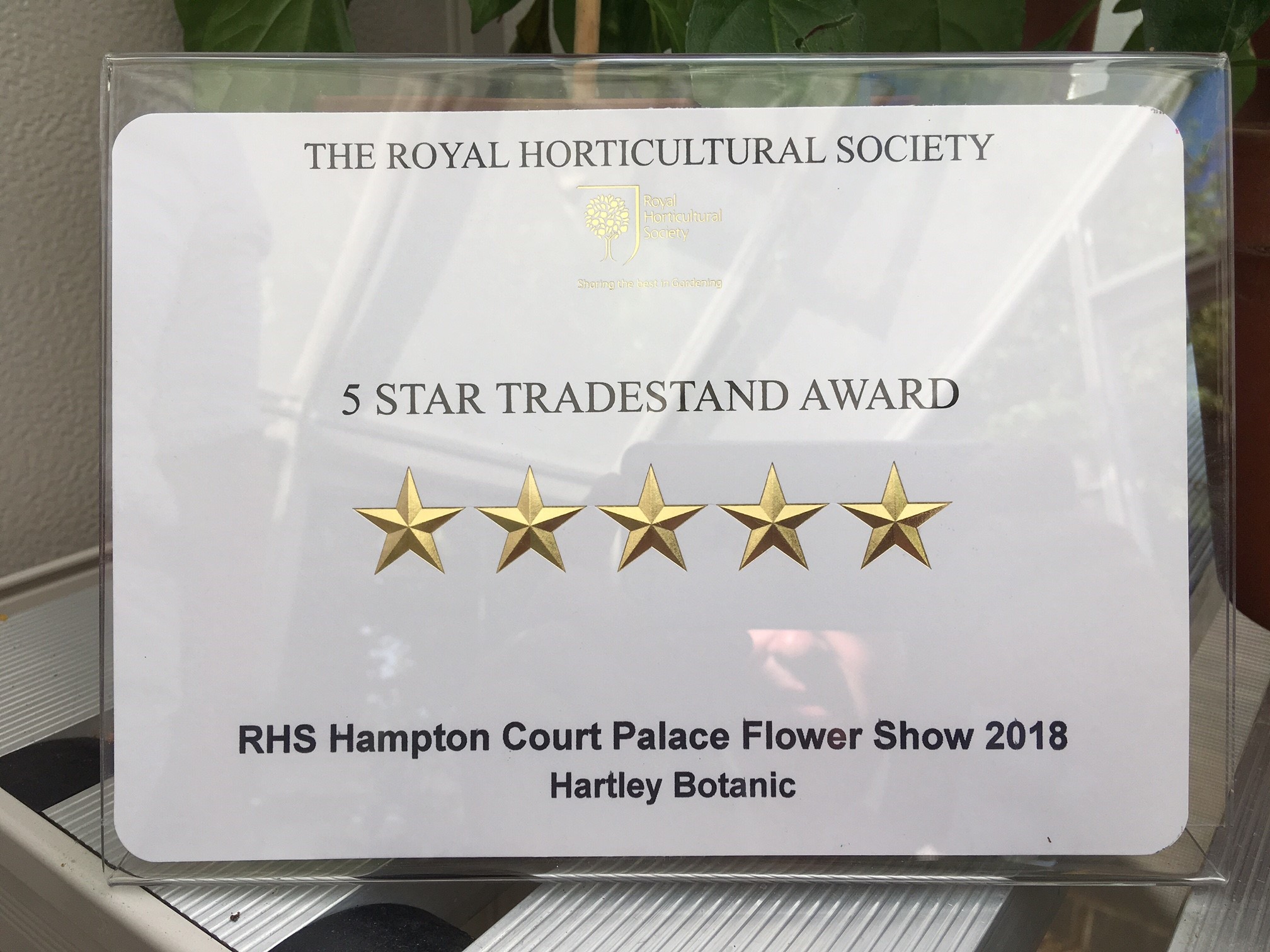 Hartley Botanic’s RHS Hampton Court Tradestand is another award winner ...