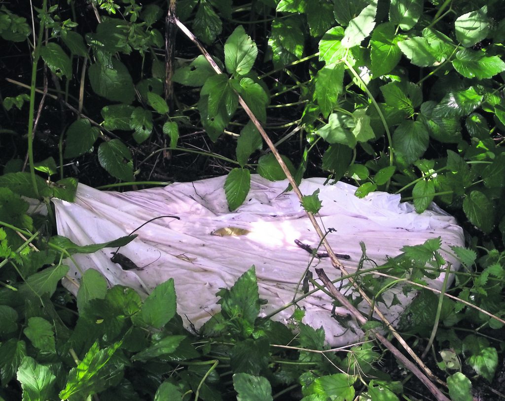 Makes you feel sick: Phantom vomiter leaving Greenfield residents ...